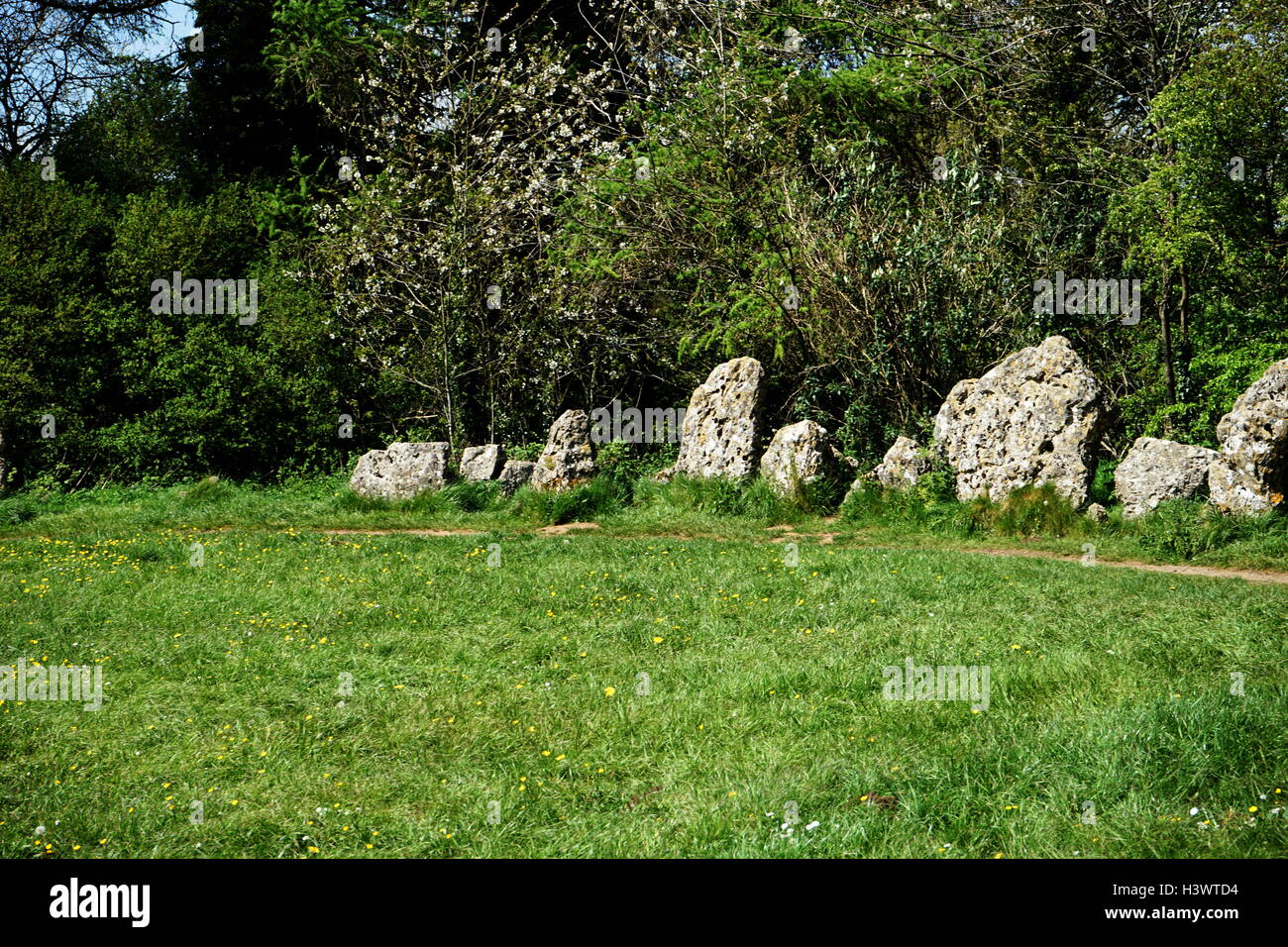 The King's Men Stone Circle which is part of the Rollright Stones, a ...