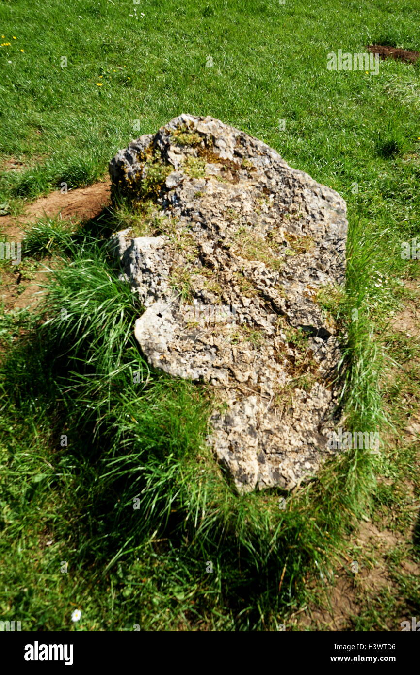 The King's Men Stone Circle which is part of the Rollright Stones, a ...