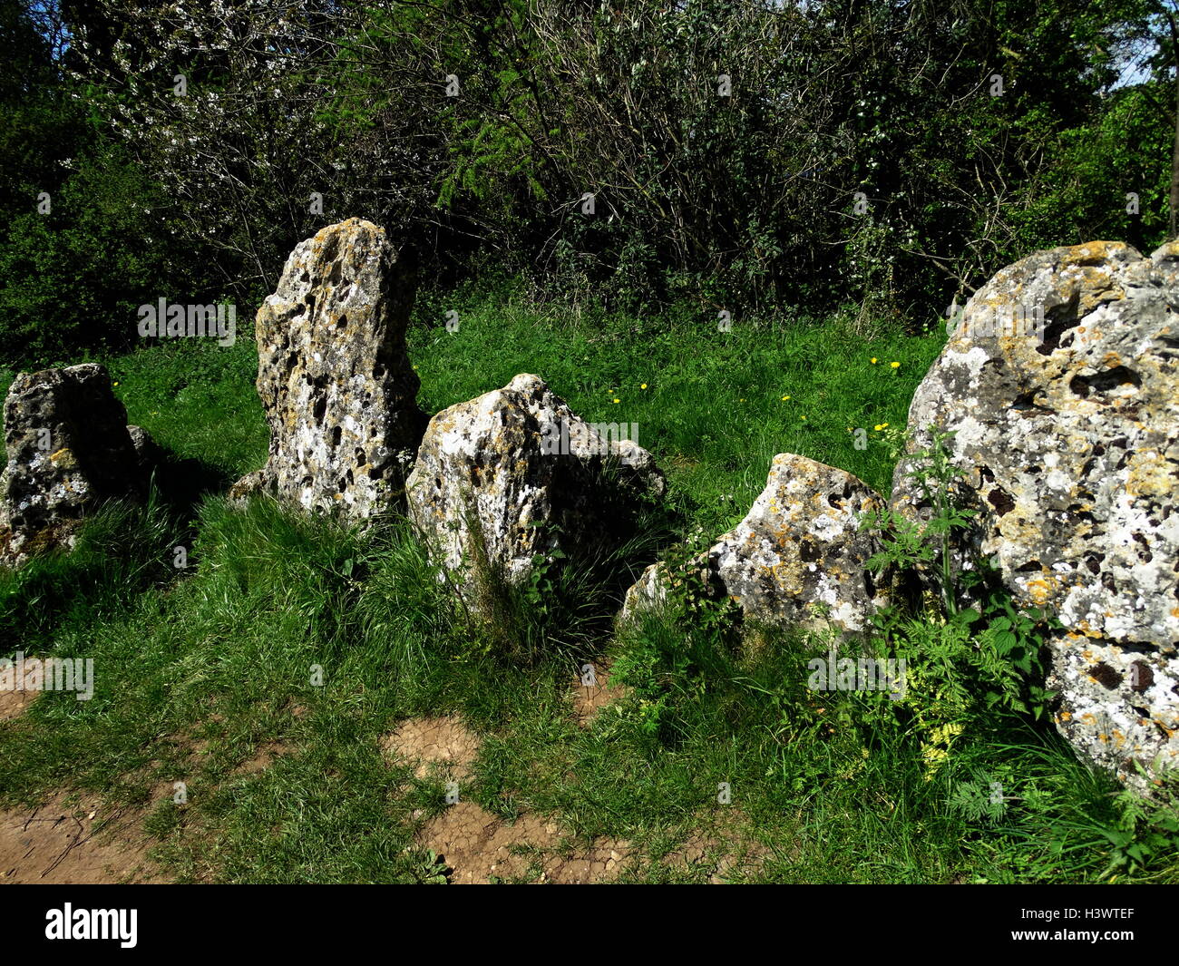 The King's Men Stone Circle which is part of the Rollright Stones, a ...