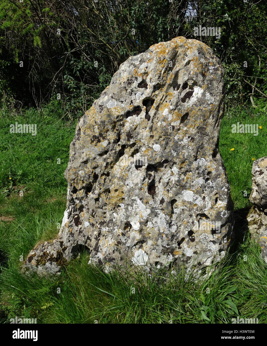 The King's Men Stone Circle which is part of the Rollright Stones, a ...
