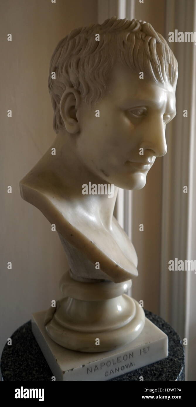 Bust of Napoléon Bonaparte (1769-1821) a French military and political ...