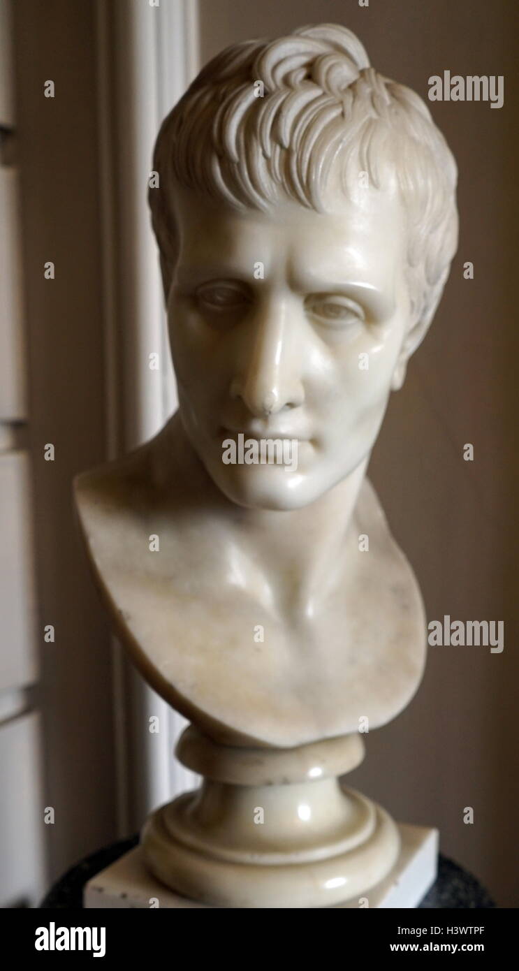 Bust of Napoléon Bonaparte (1769-1821) a French military and political ...