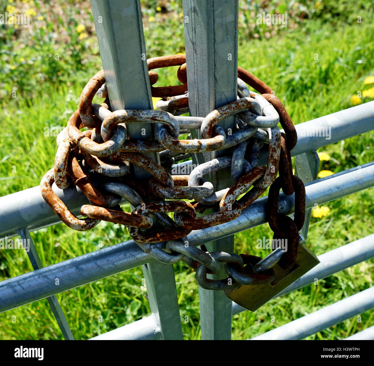 An example of oxidation, which is the loss of electrons or an increase ...