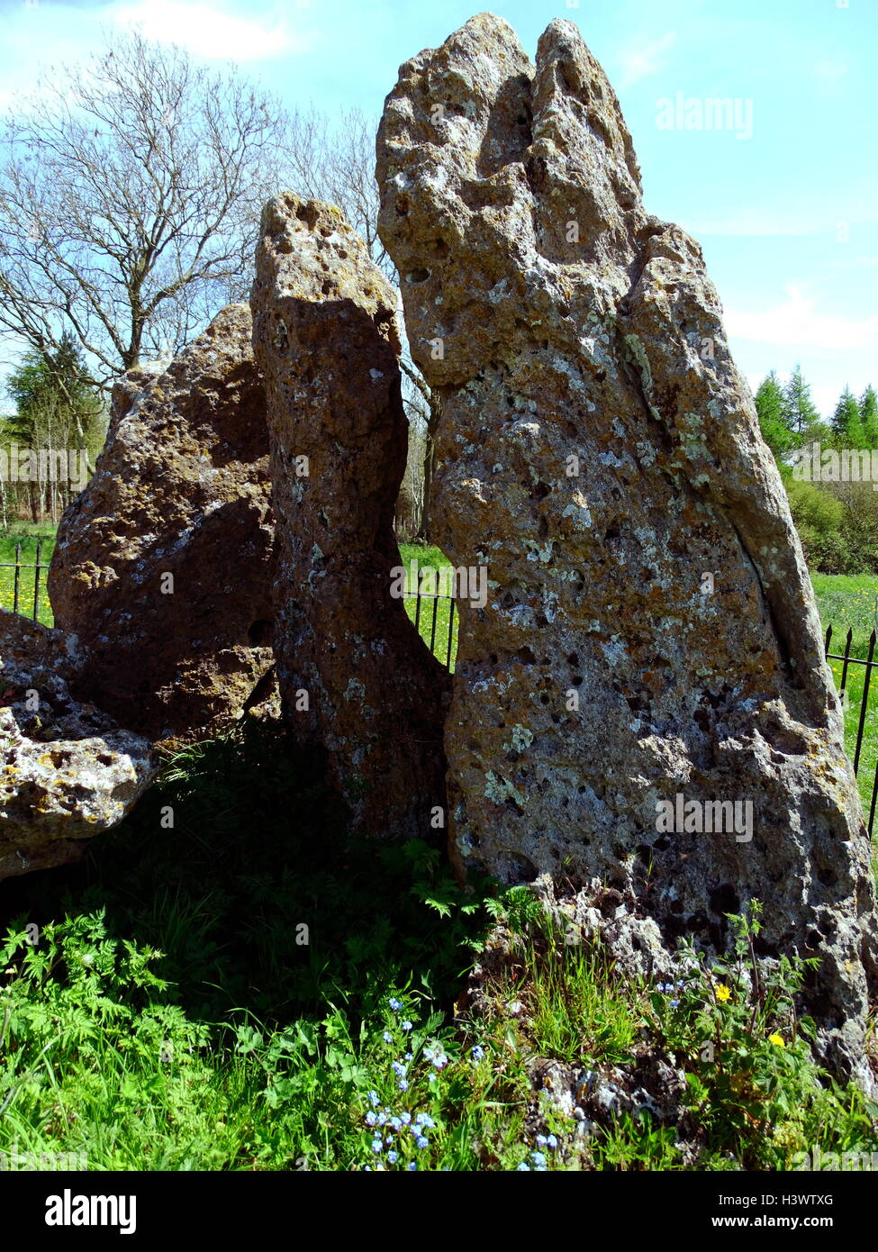 The King's Men Stone Circle which is part of the Rollright Stones, a ...
