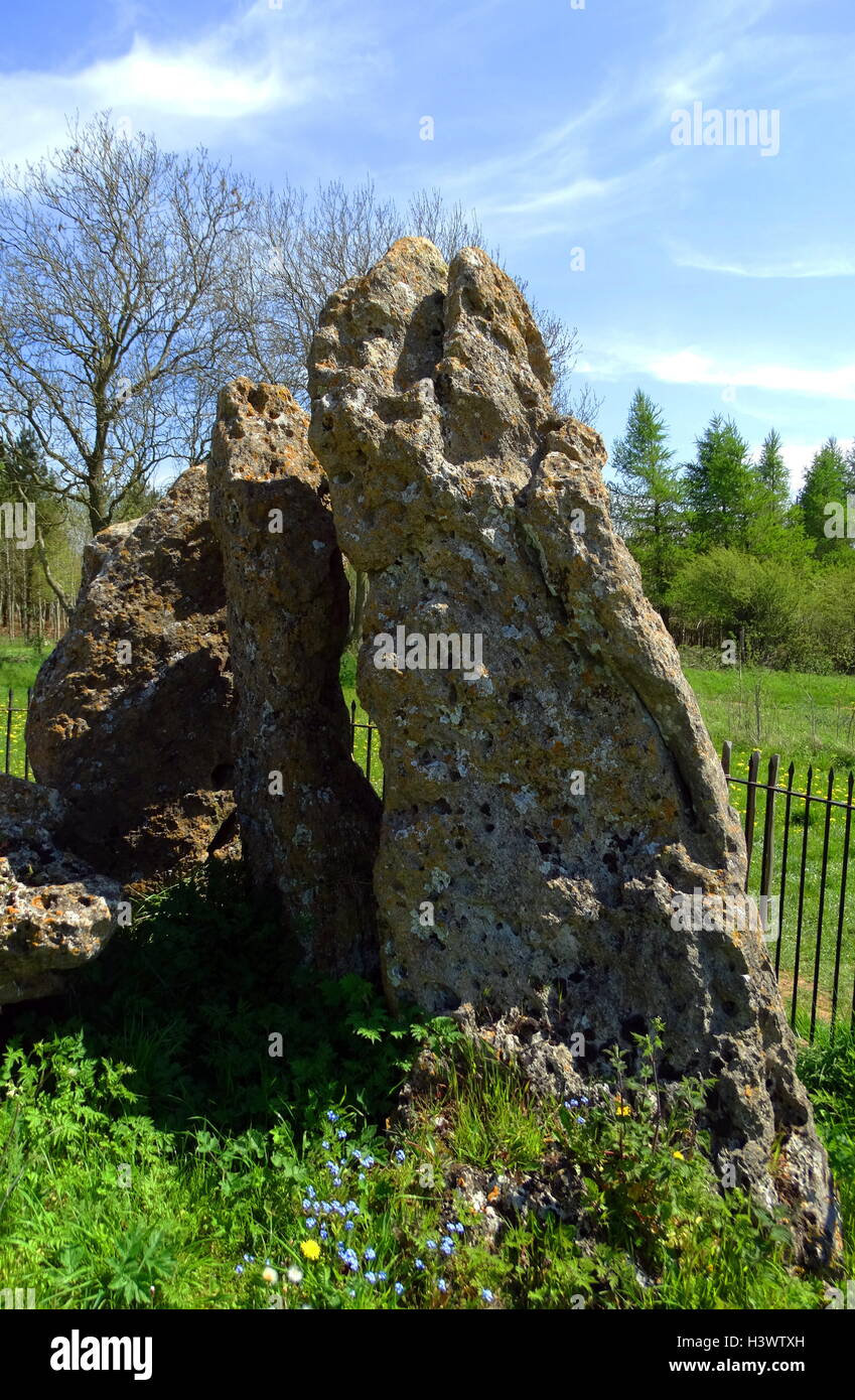 The King's Men Stone Circle which is part of the Rollright Stones, a ...