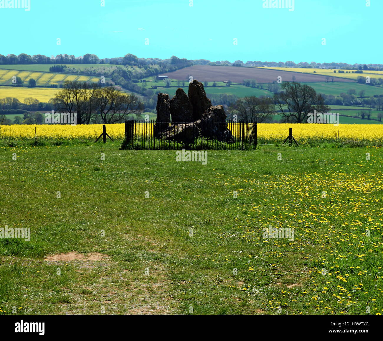 The King's Men Stone Circle which is part of the Rollright Stones, a ...