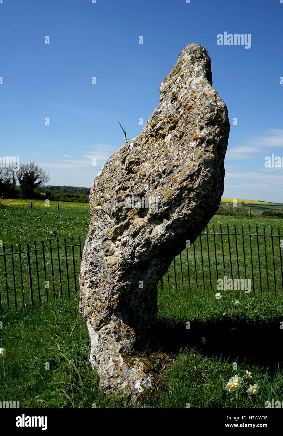 The King's Men Stone Circle which is part of the Rollright Stones, a ...