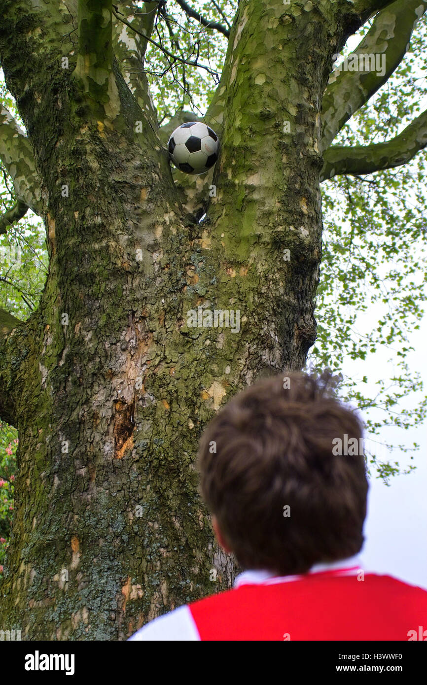 Soccer players, gaze tree, Astgabel,, Ball, back opinion, Man, young ...