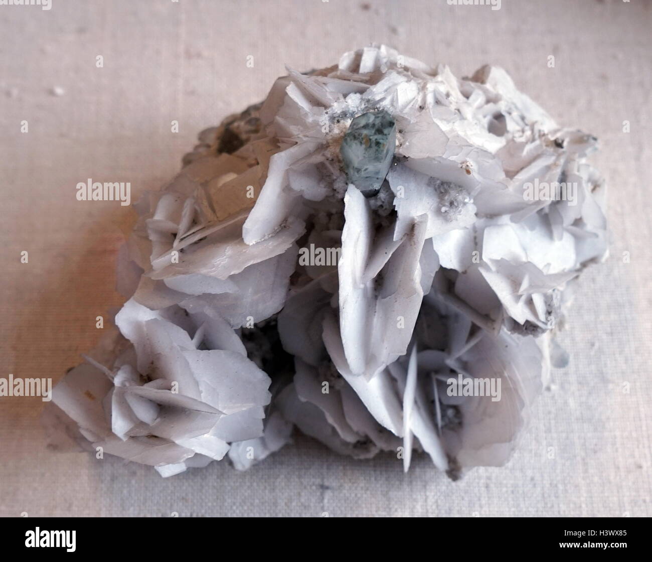 Sample of schiefer spar, a variety of calcite occurring in very thin ...