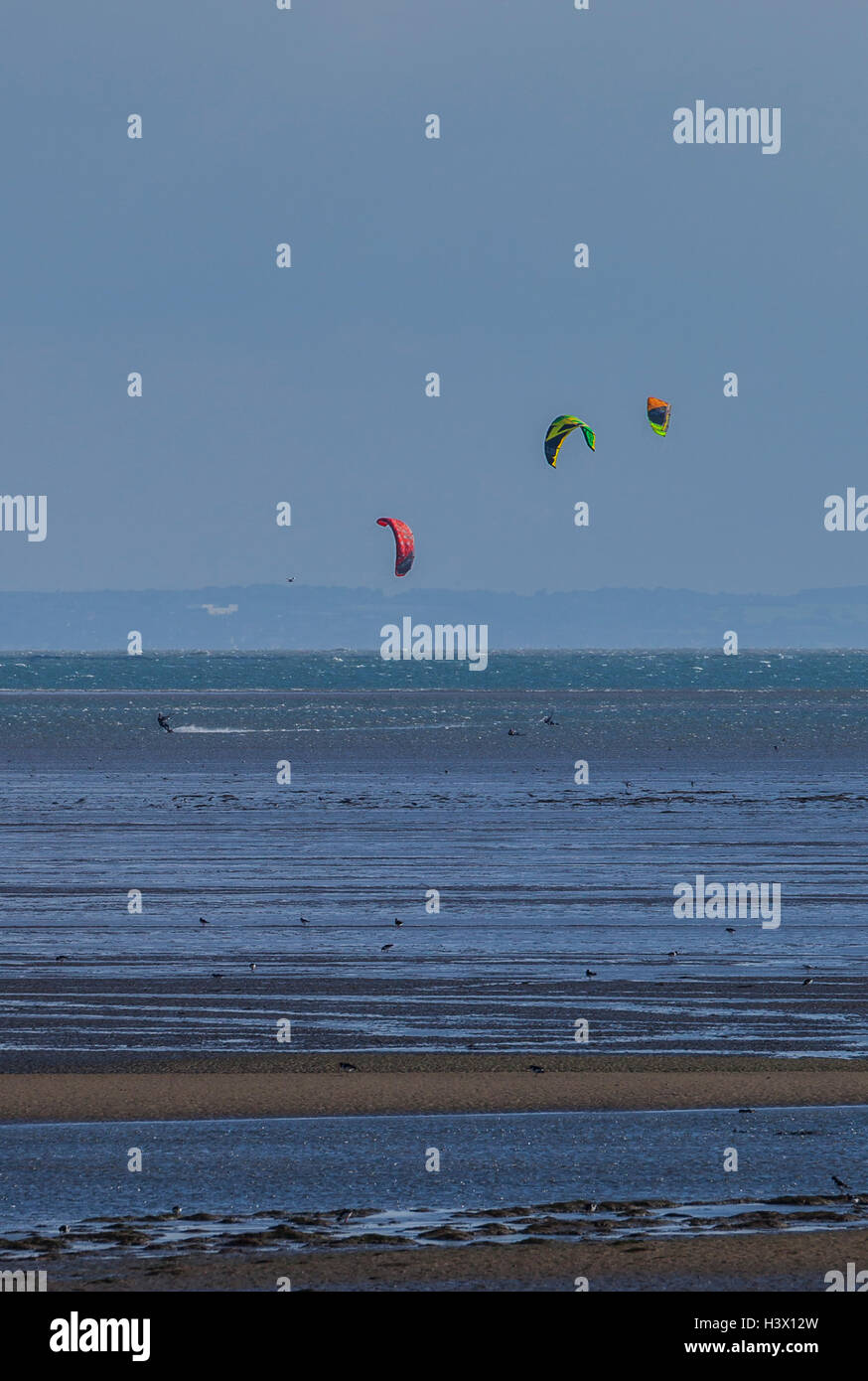 Kite Surfers on the Thames off the Essex Shoreline with Kent in the ...