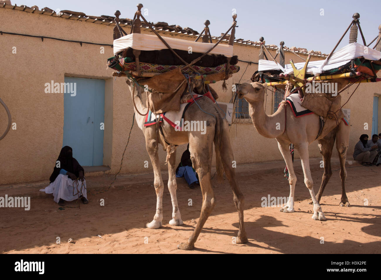 Inauguration parade Fisahara 2016 and the day of the Saharawi Republic ...