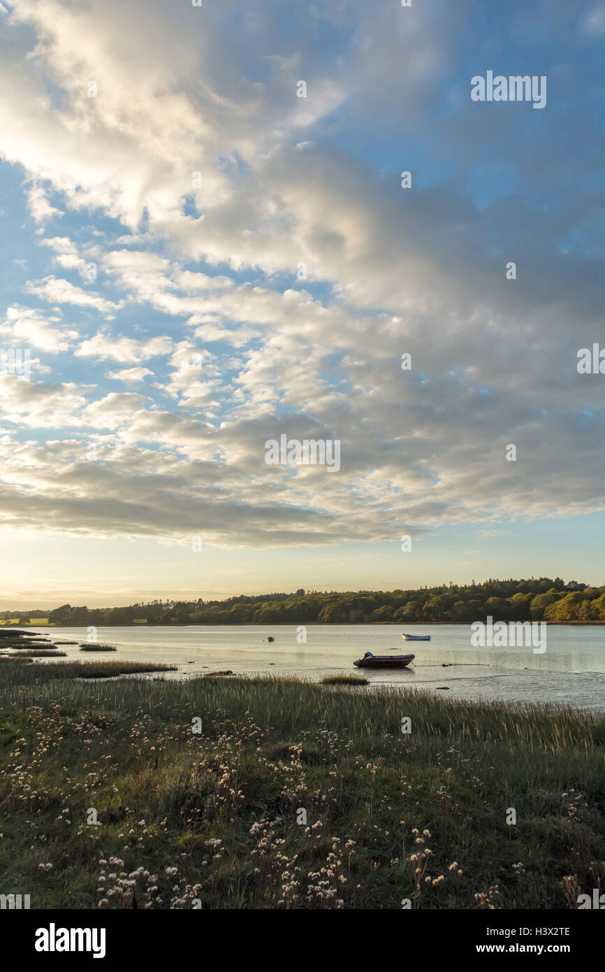 Cleddau estuary hi-res stock photography and images - Alamy