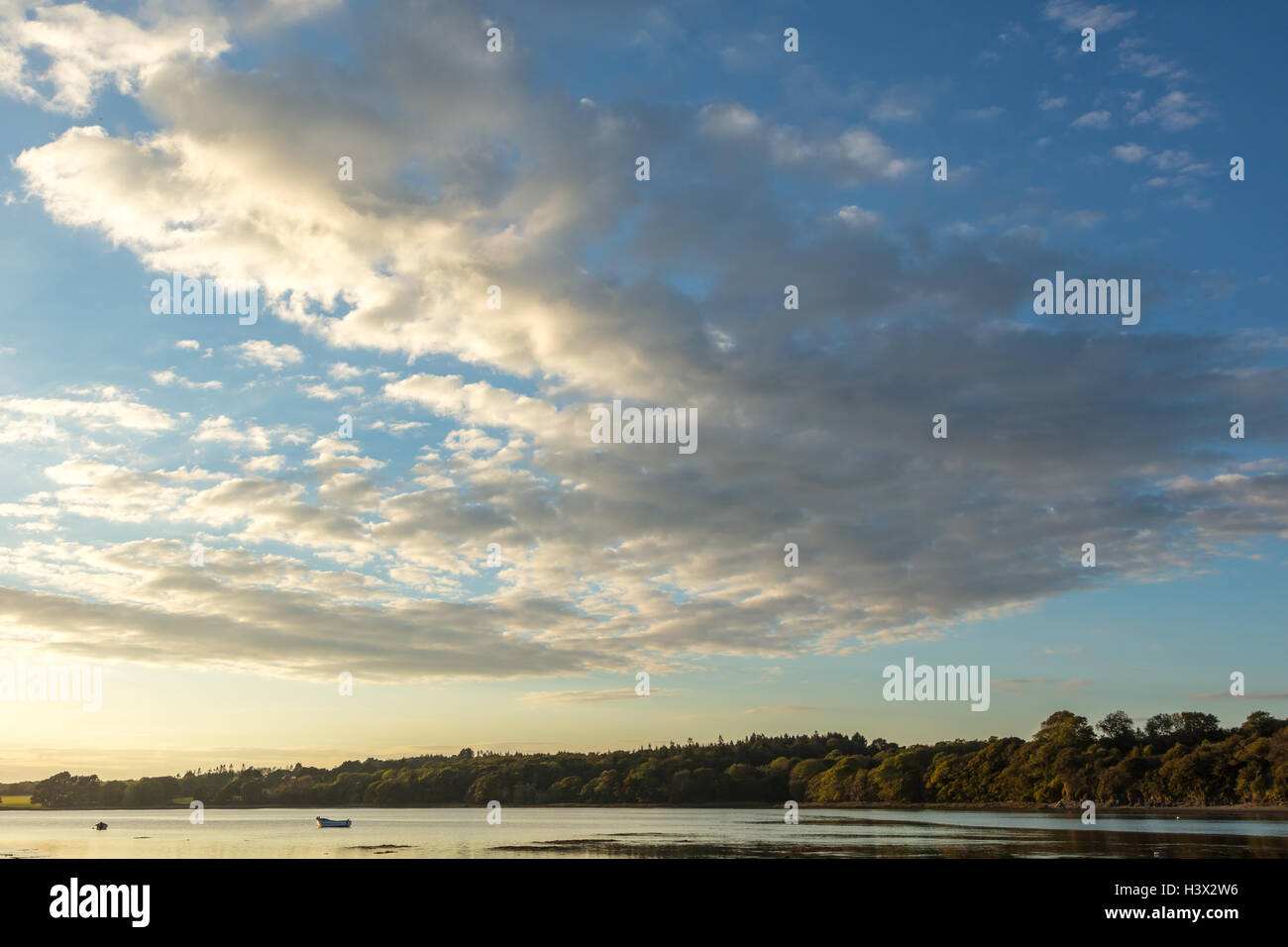 The cleddau estuary, pembrokeshire hi-res stock photography and images ...
