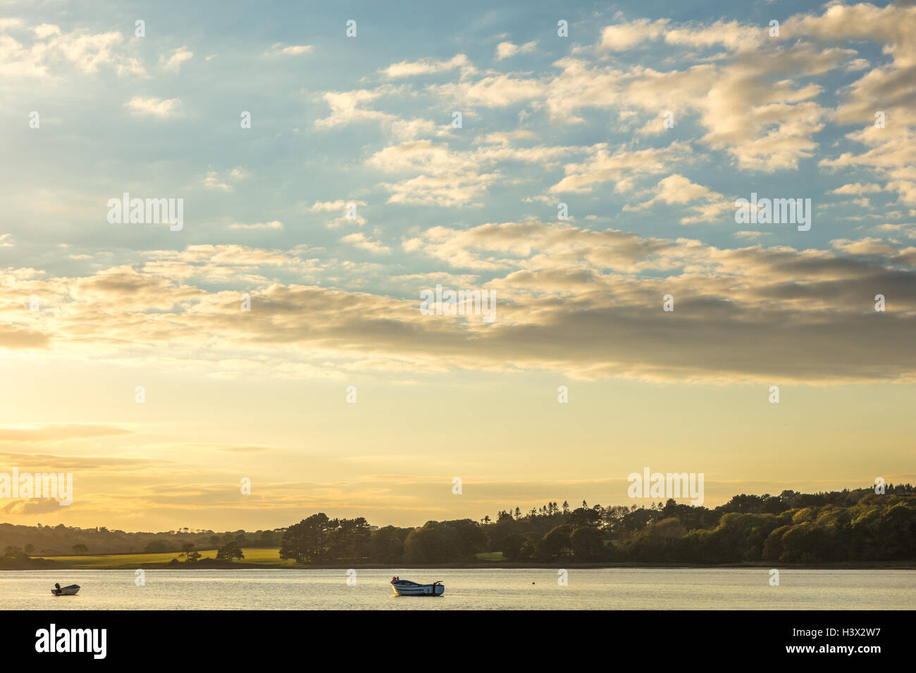 The cleddau estuary, pembrokeshire hi-res stock photography and images ...