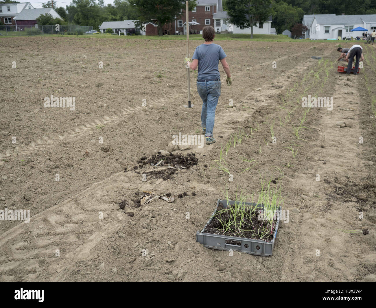 How does a farmer help the community hi-res stock photography and ...