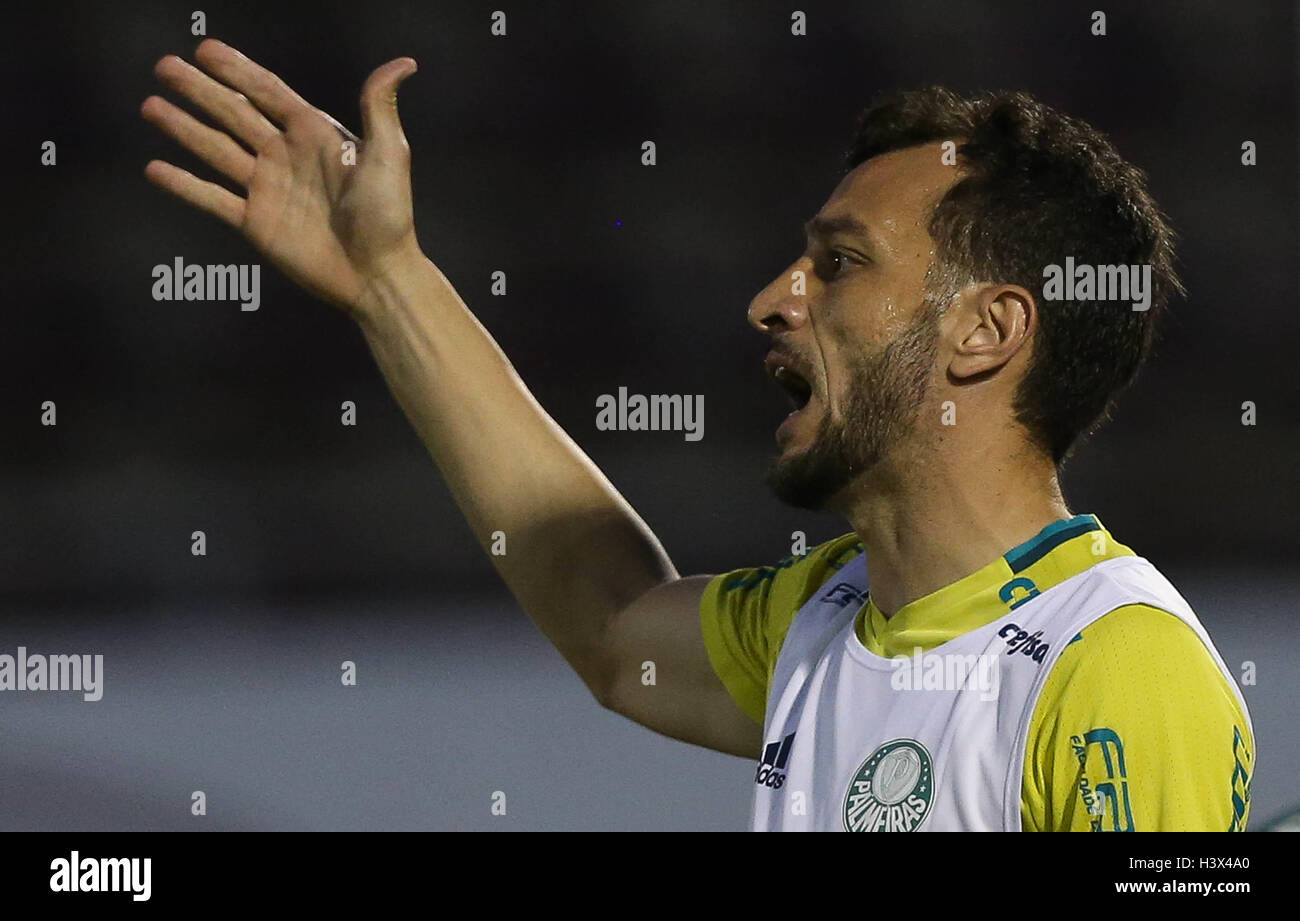 Dracena brazil hi-res stock photography and images - Alamy