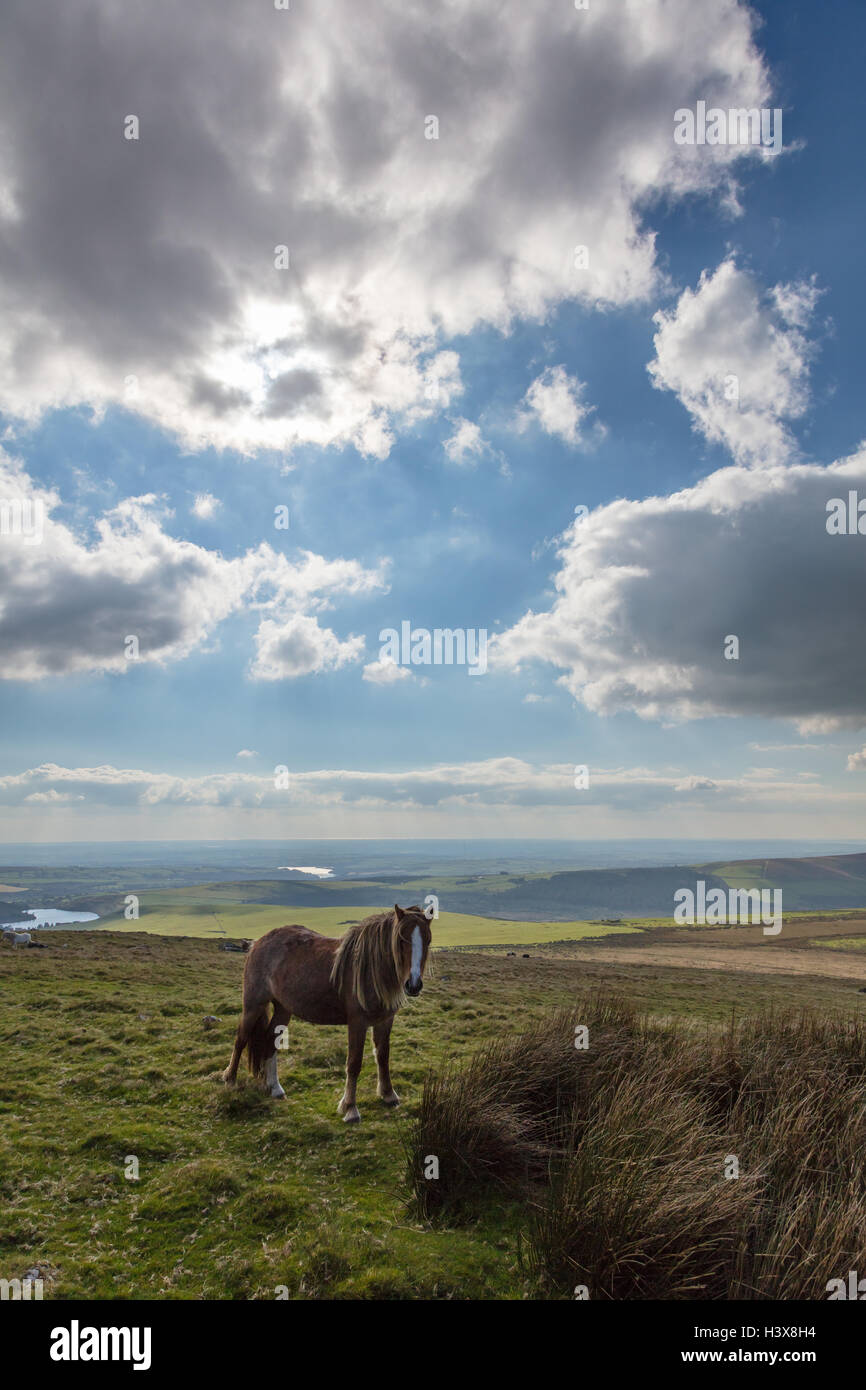 Preseli mountains hi-res stock photography and images - Alamy
