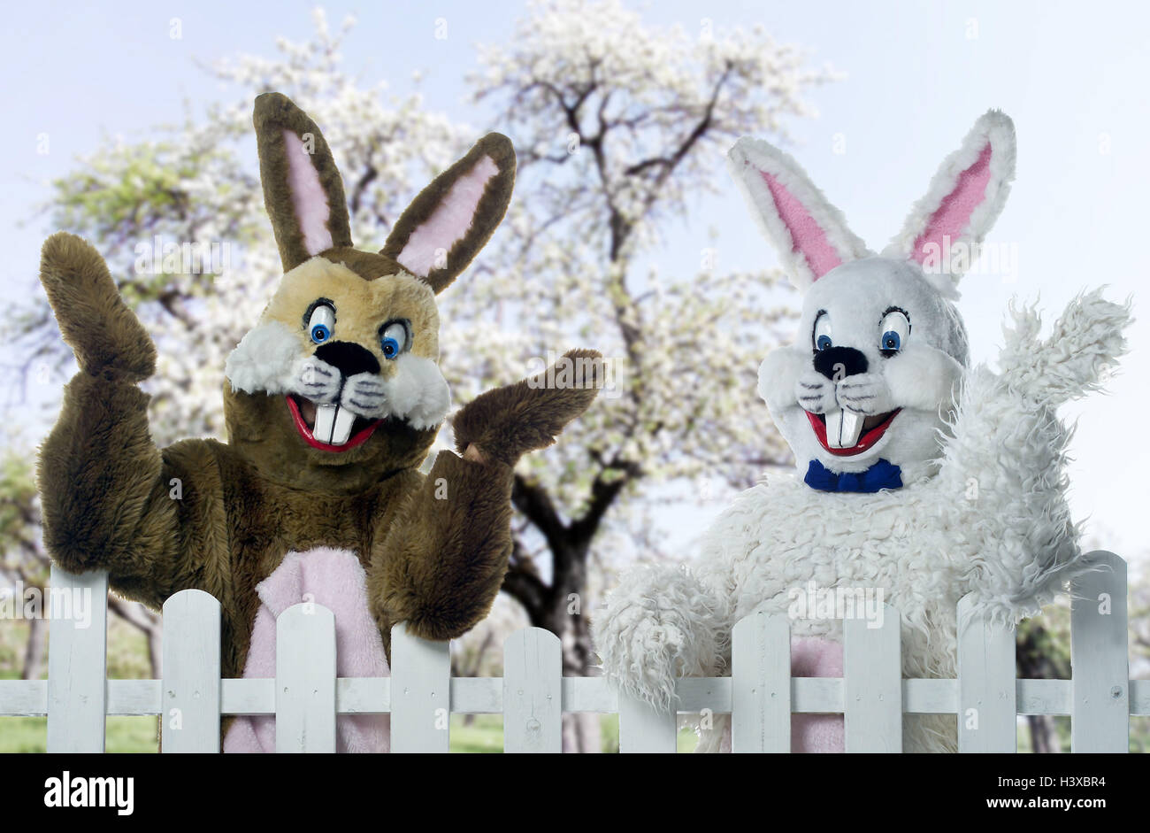 Garden fence, Easter bunny, wave, half portrait, spring, season, Easter ...