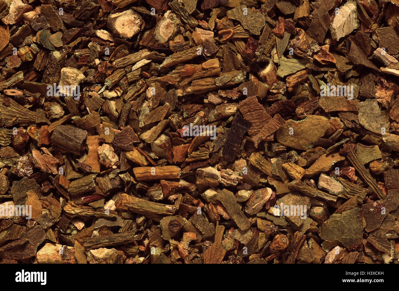 Mistletoe plant hi-res stock photography and images - Alamy