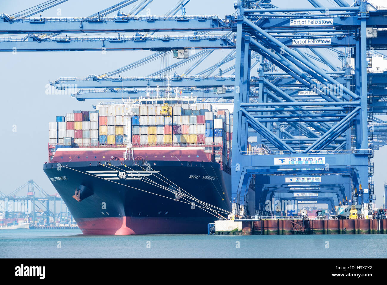 The MSC Venice container ship being unloaded in the port of Felixstowe ...