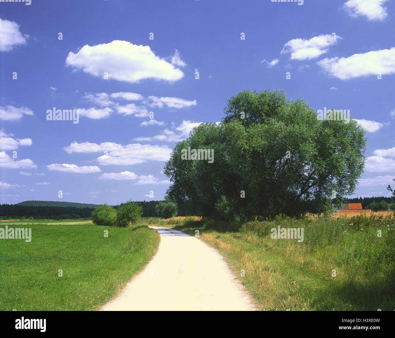 Valley scenery hi-res stock photography and images - Alamy
