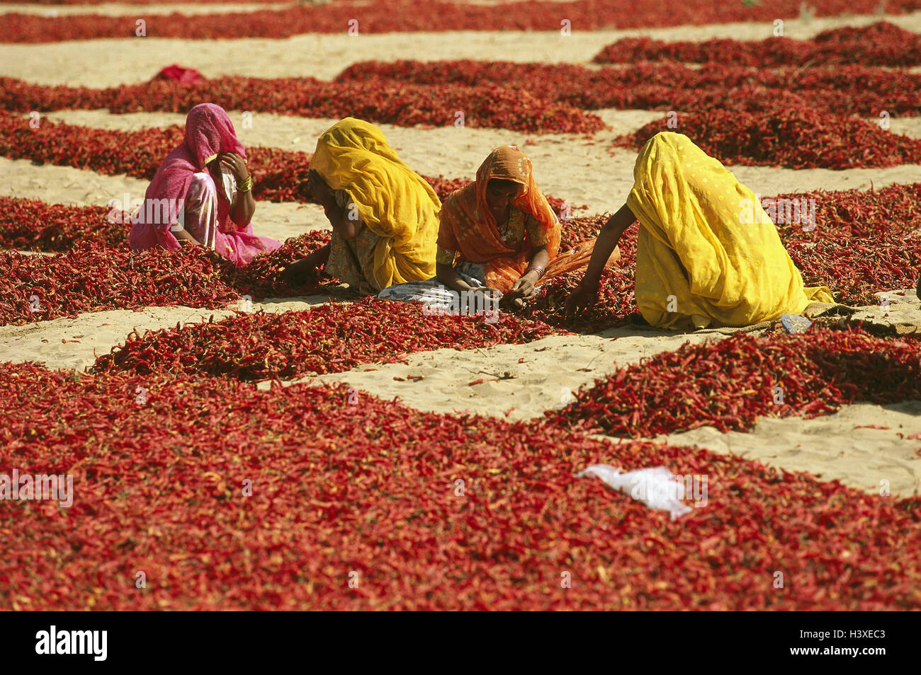 Chilli out hi-res stock photography and images - Alamy