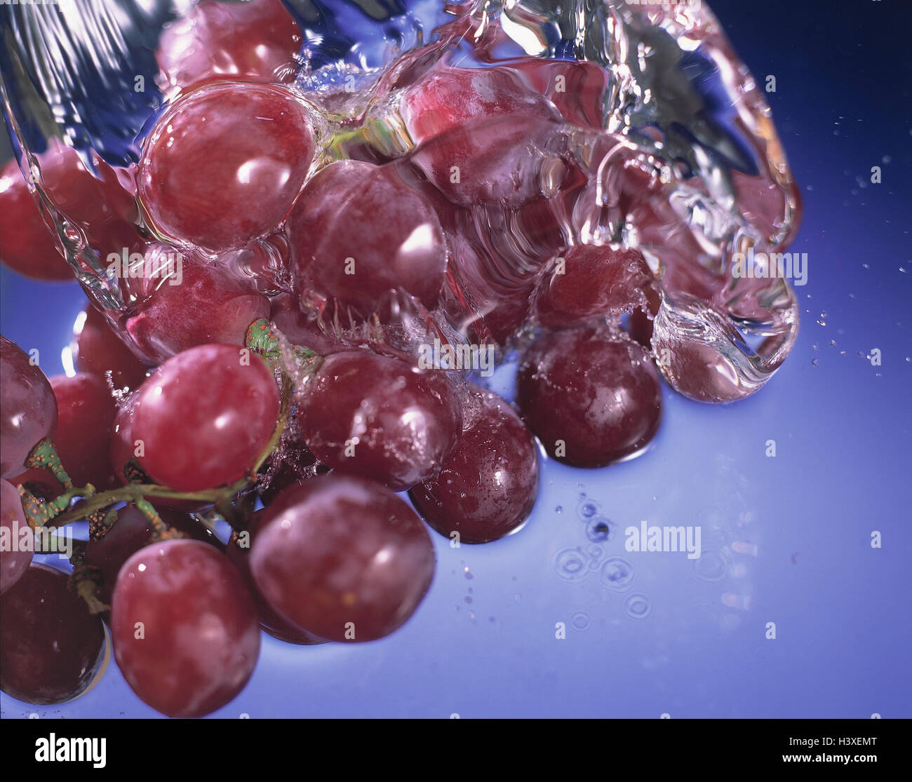 Water, grapes, Still life, grapes, blue, infructescence, fruits, fruit ...