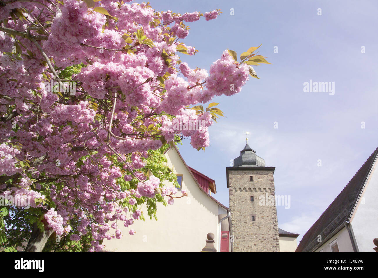 Germany, Karlsruhe, part town, Durlach, Old Town, Basel goal tower ...