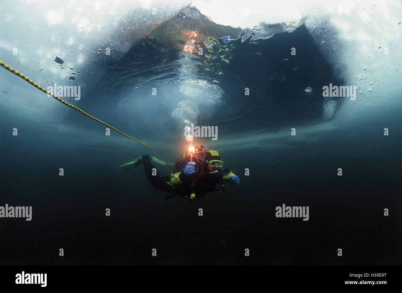 Austria, Langbathsee, sheet ice, diver, torch, Salzkammergut, lake, 28 ...