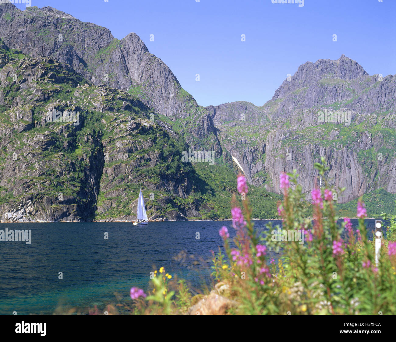 Norway, northern country, Lofoten, Raftsundet, troll fjord, sailing ...