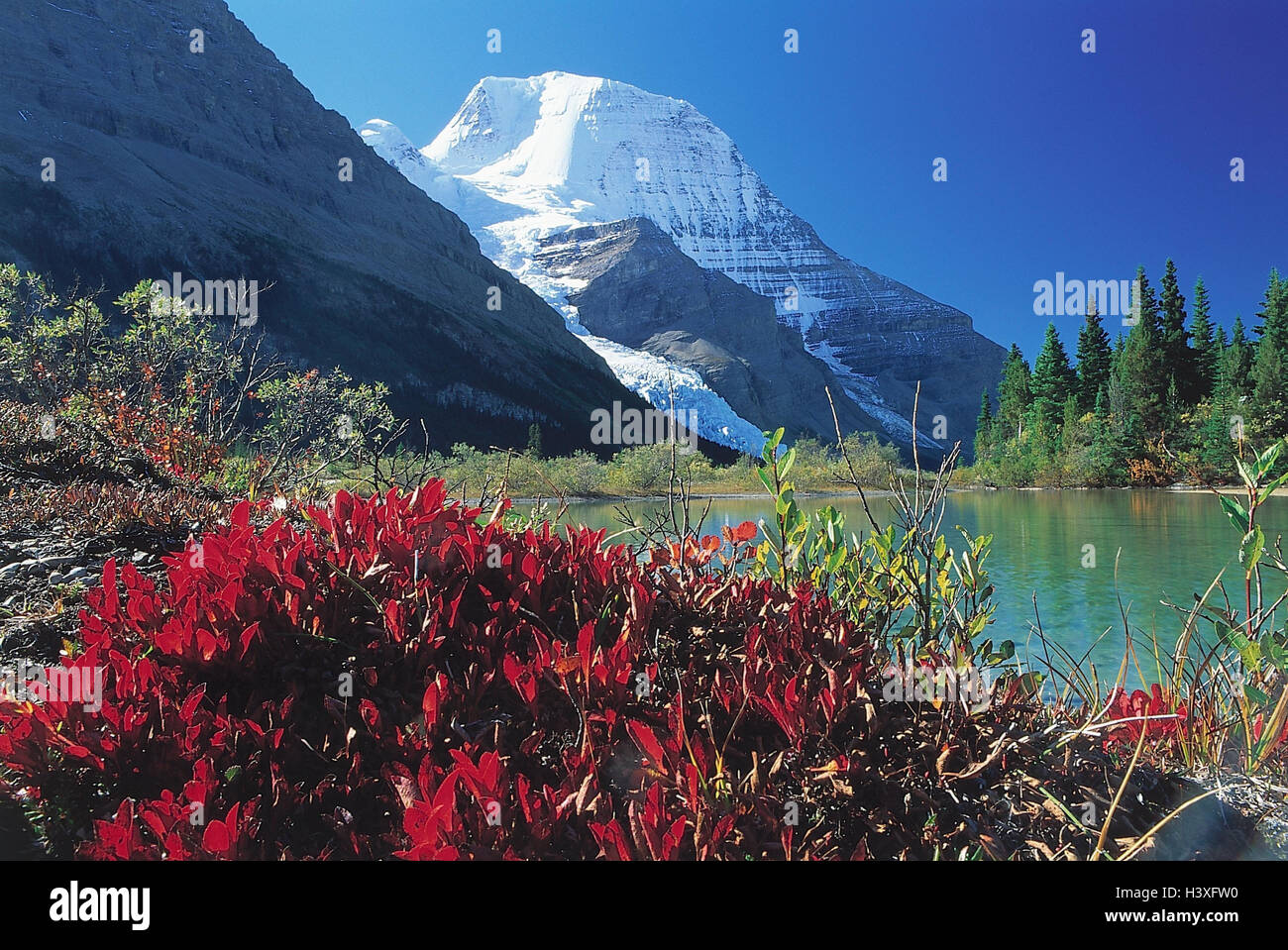 Mt robson glacier hi-res stock photography and images - Alamy