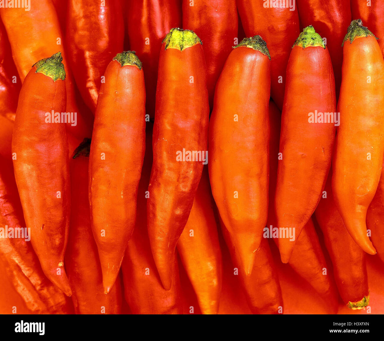 Chilli, red, Capsicum, peppers, vegetables, spice, paprika, hot, red ...