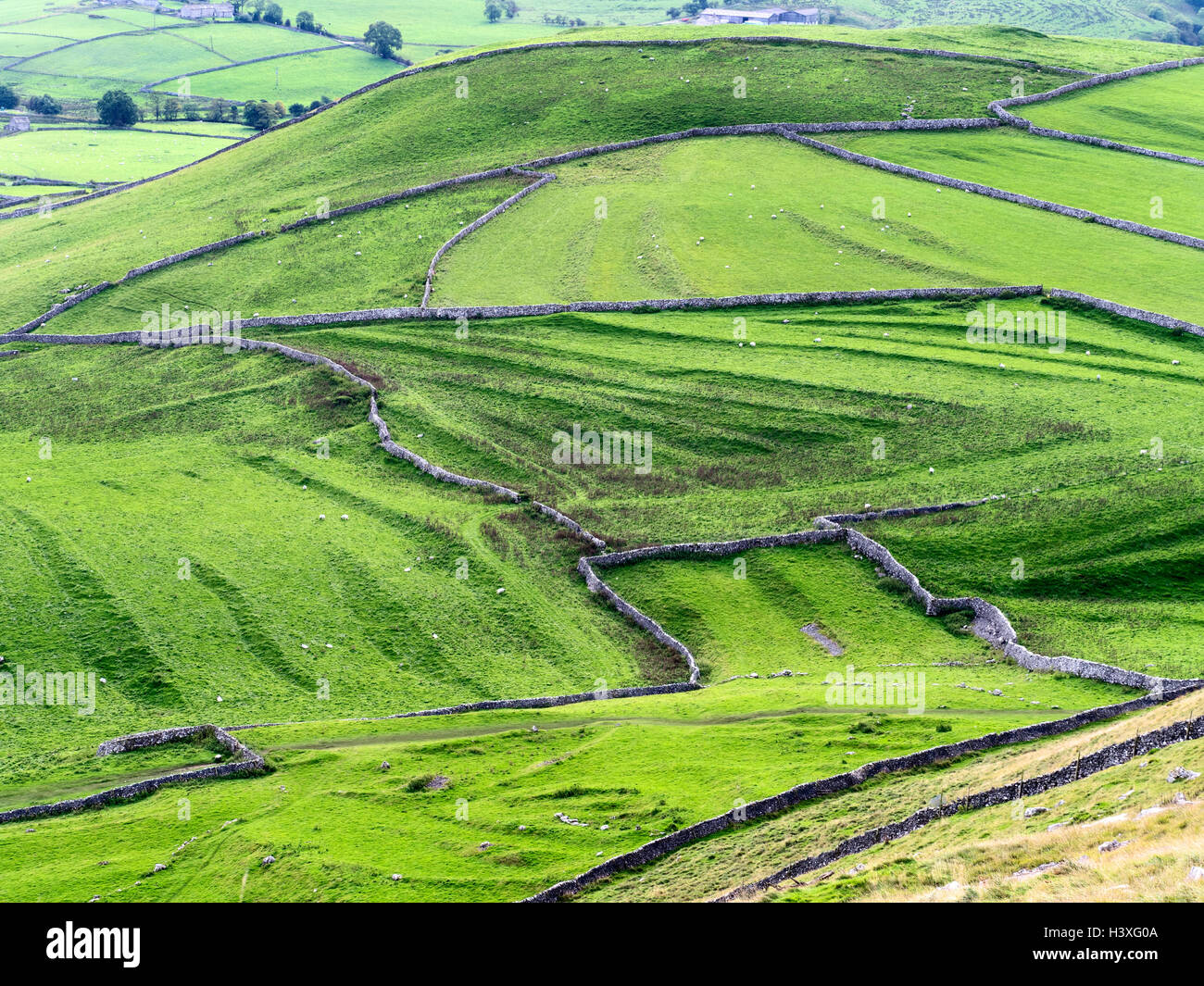 Dry Stone Walls on a Hill in Malhamdale near Malham Yorkshire Dales ...