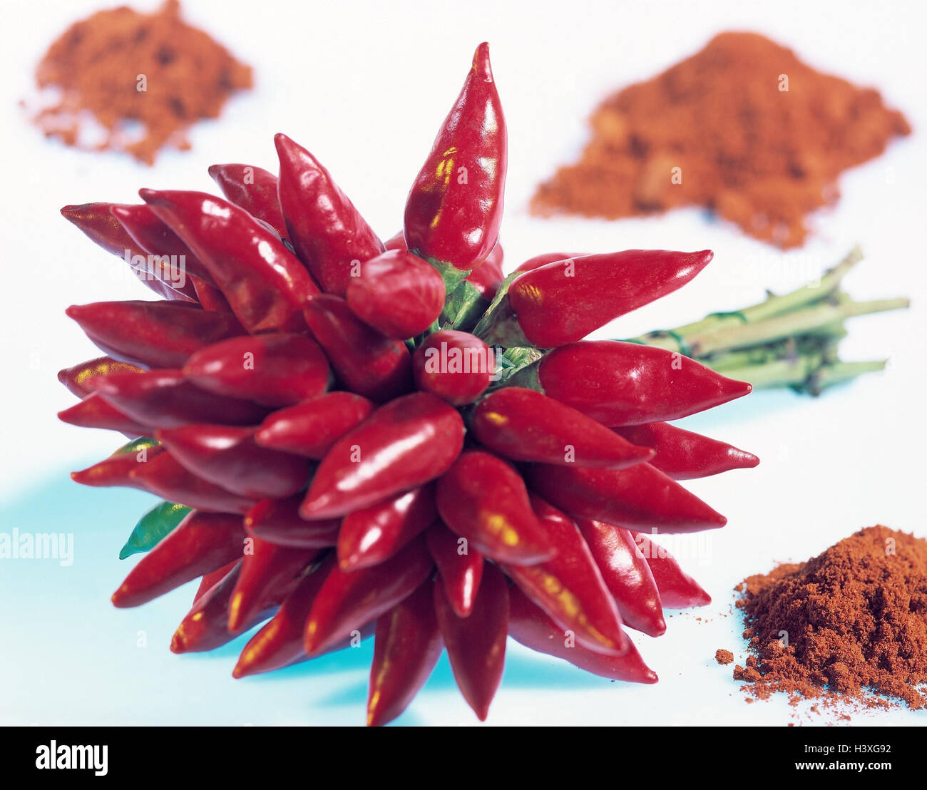 Chilli pods, chilli powders spice, hot, chilli, chilli pods, Solanaceae ...