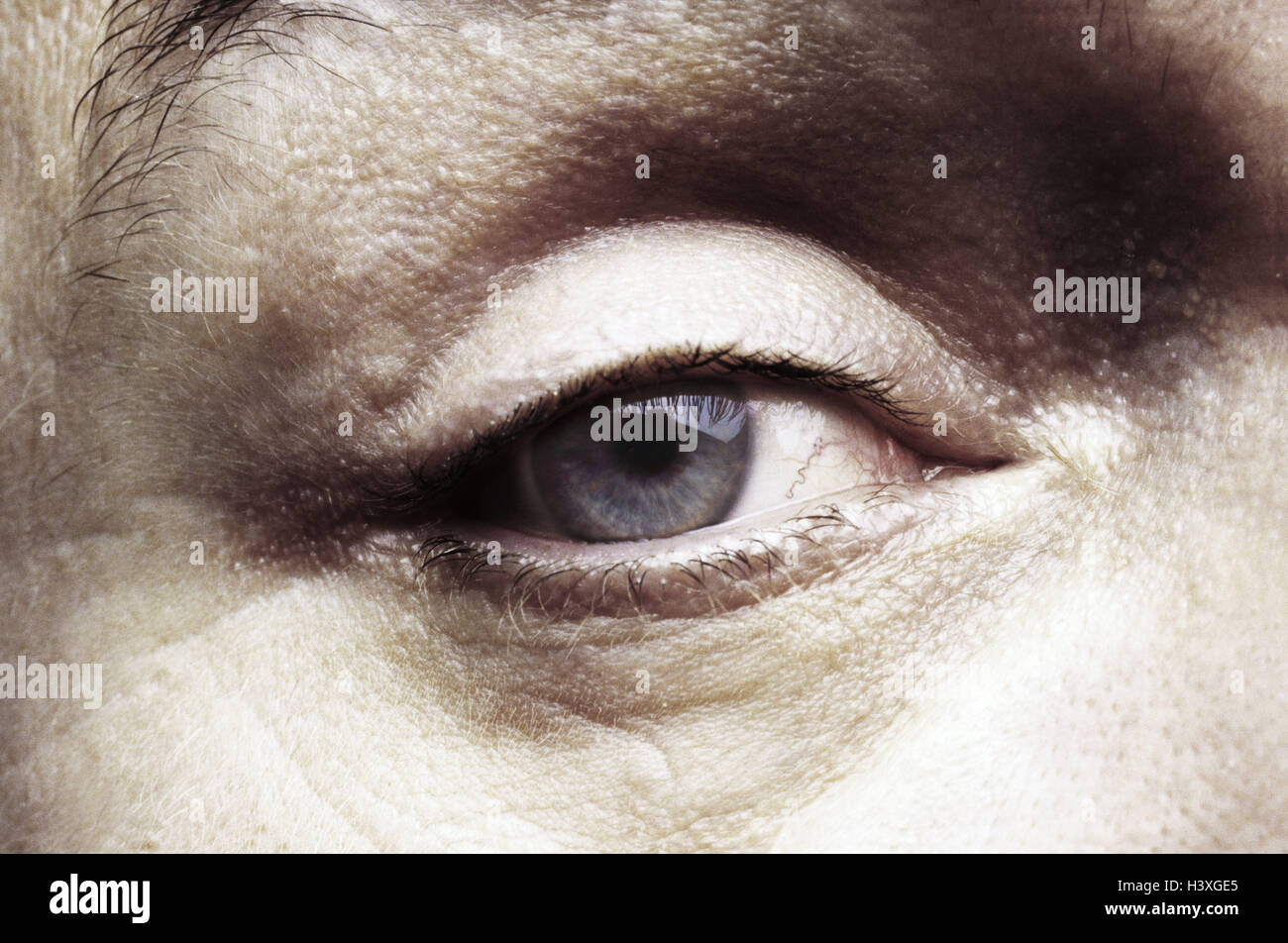 Man, look, detail, eye, close up, model released, sense, blue eyes ...