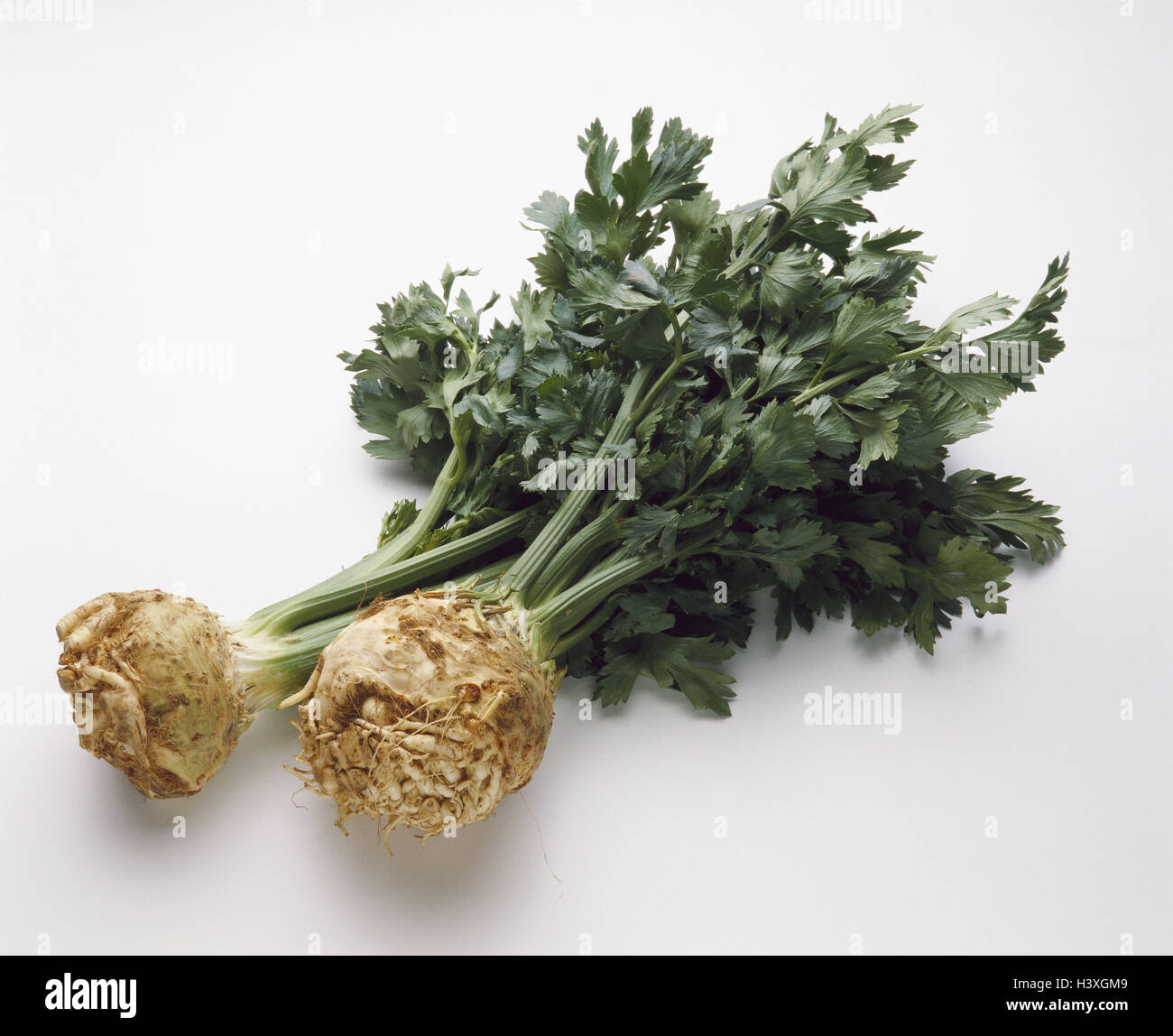 Celery, celeriac, vegetables, celery, celeriac, root celery, celeriac ...