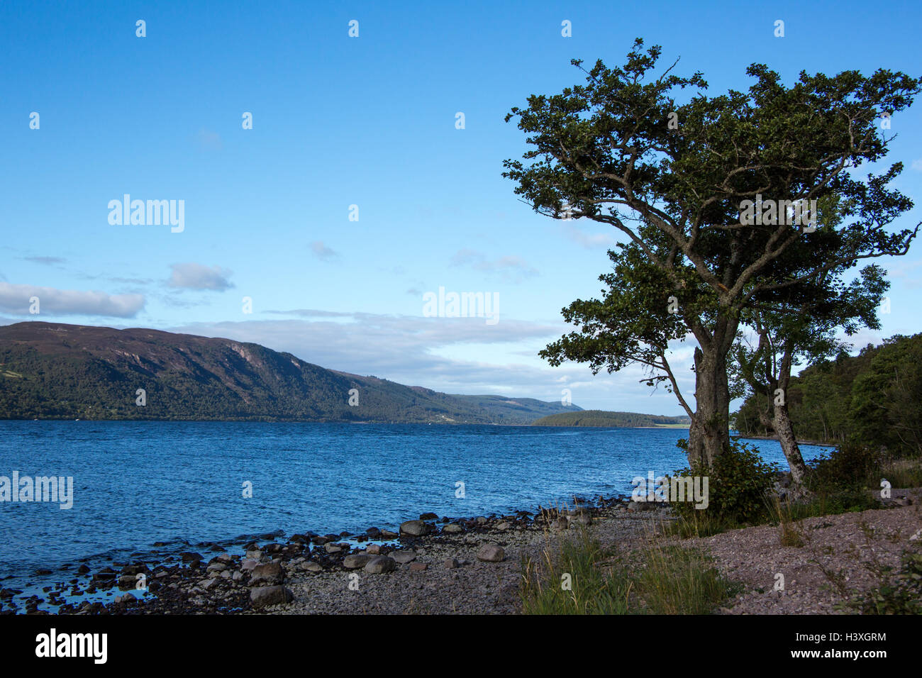 Loch Ness looking north Stock Photo - Alamy