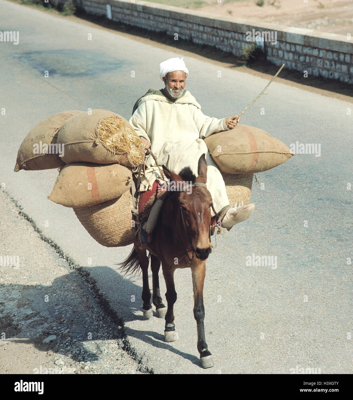 Man riding mule hi-res stock photography and images - Alamy
