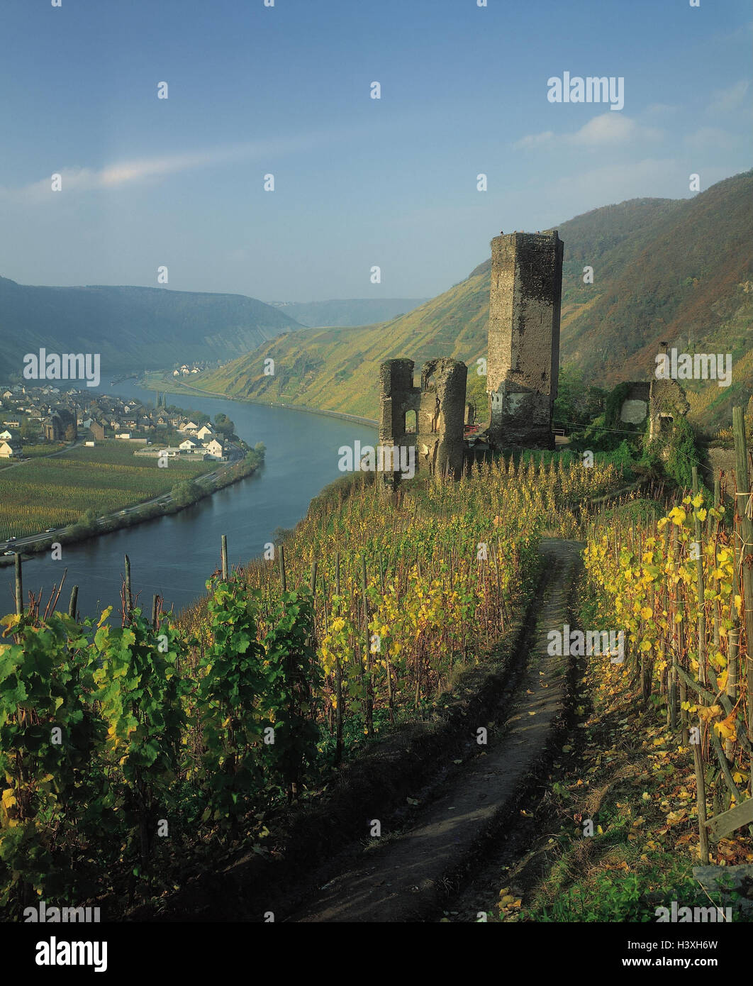 Germany, hatchet stone on the Moselle, castle ruin Metternich, scenery ...