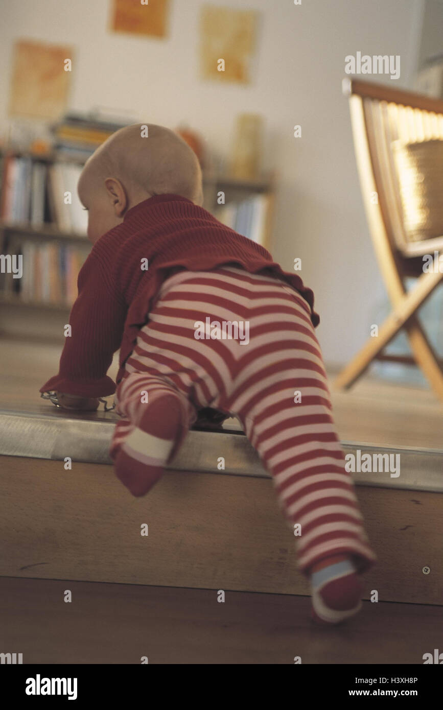 Sitting rooms, step, baby, creep, back view at home, child, infant ...
