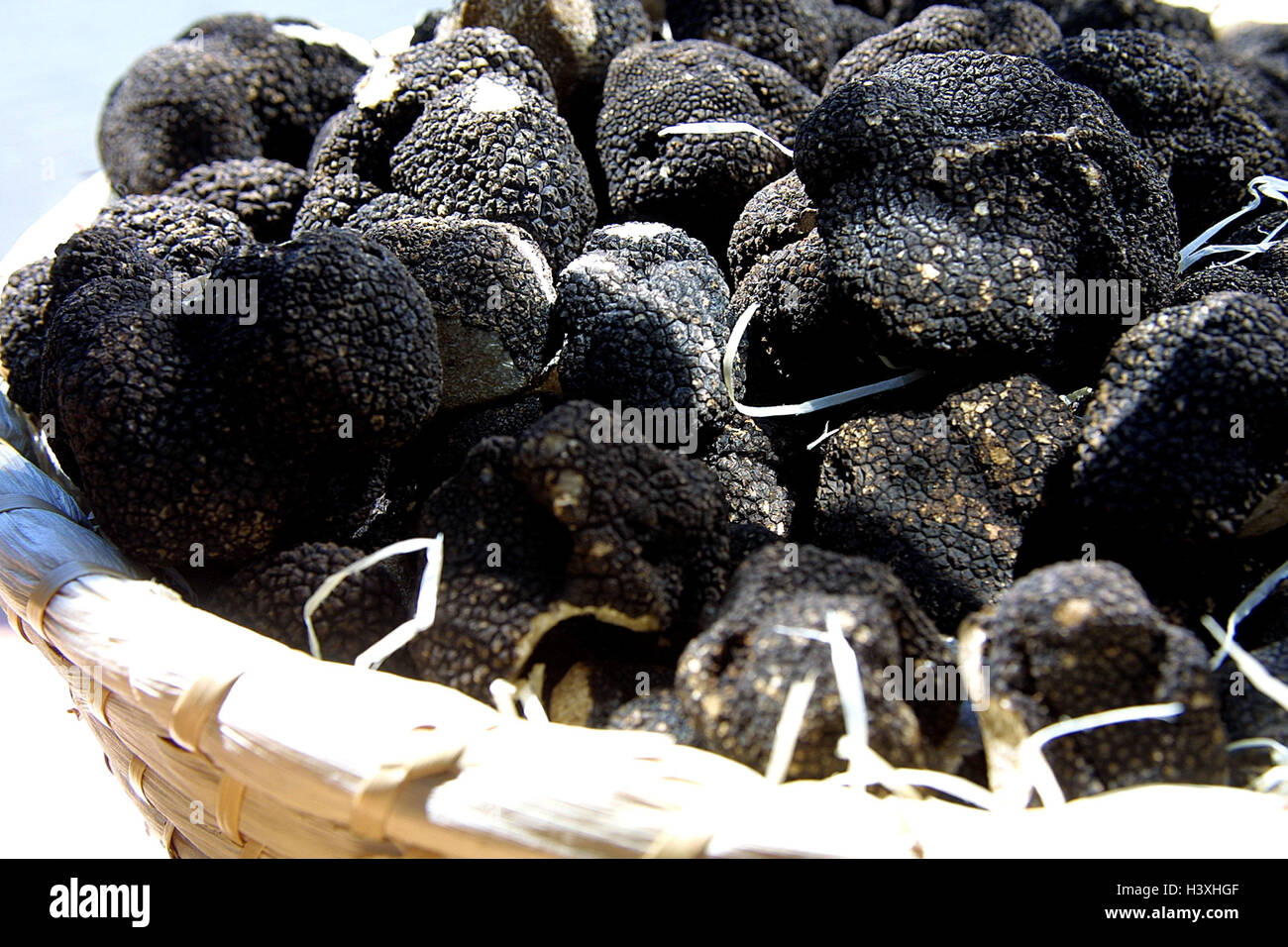 Basket, Perigord truffle, Tuber melanosporum, Still life, truffle ...