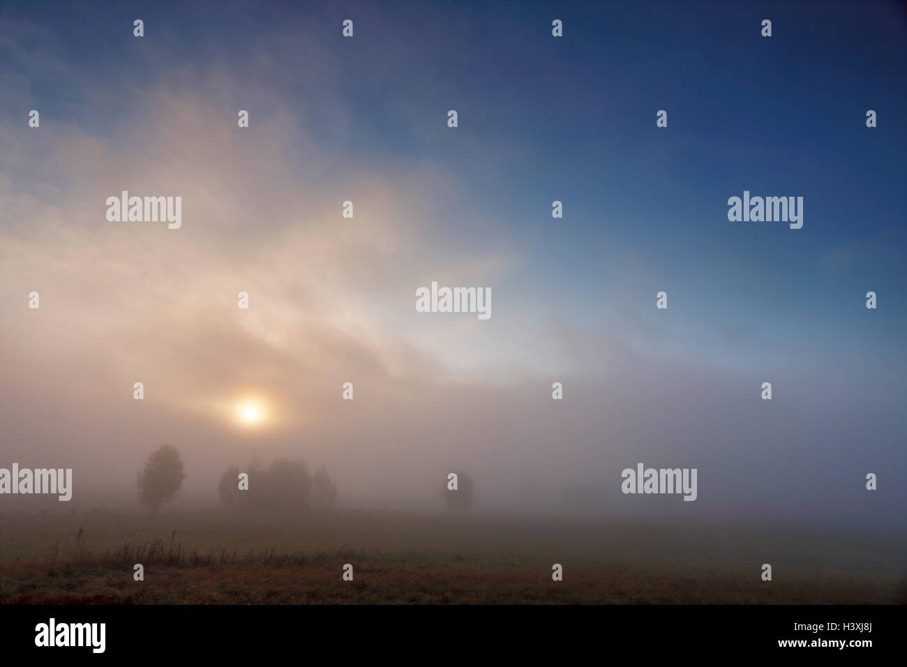 Autumn foggy morning. Misty sunrise in the wild meadows Stock Photo - Alamy