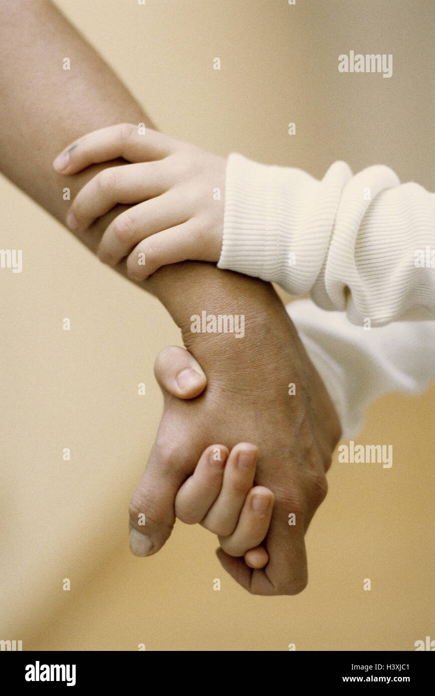 Child hands, women's hand, stick, model released, nut, woman, hand ...