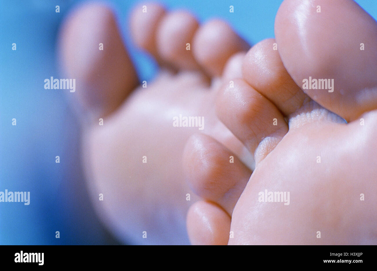 Woman, feet, close-up, toes, model released Skin-short-distance, detail ...