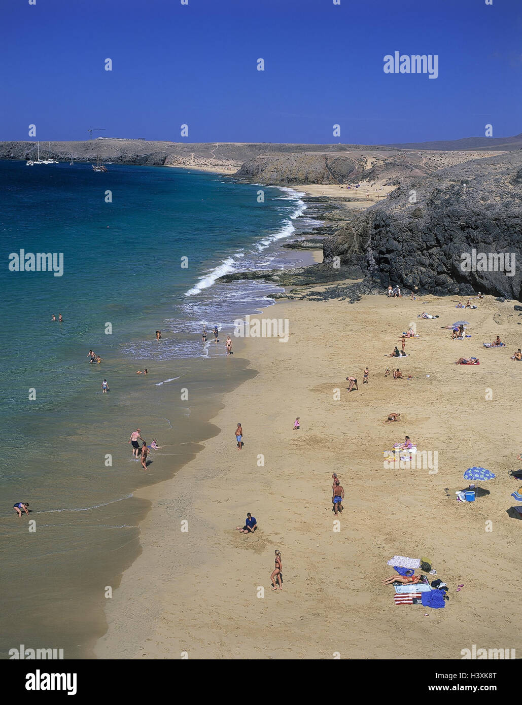 Beaches of parrot hi-res stock photography and images - Alamy