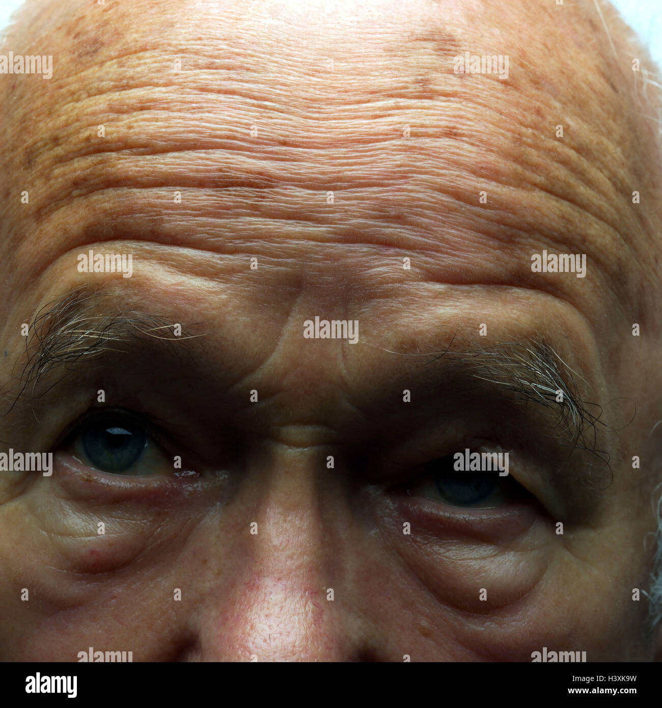 Senior, look, detail, eye area, forehead, model released, man, old, old ...