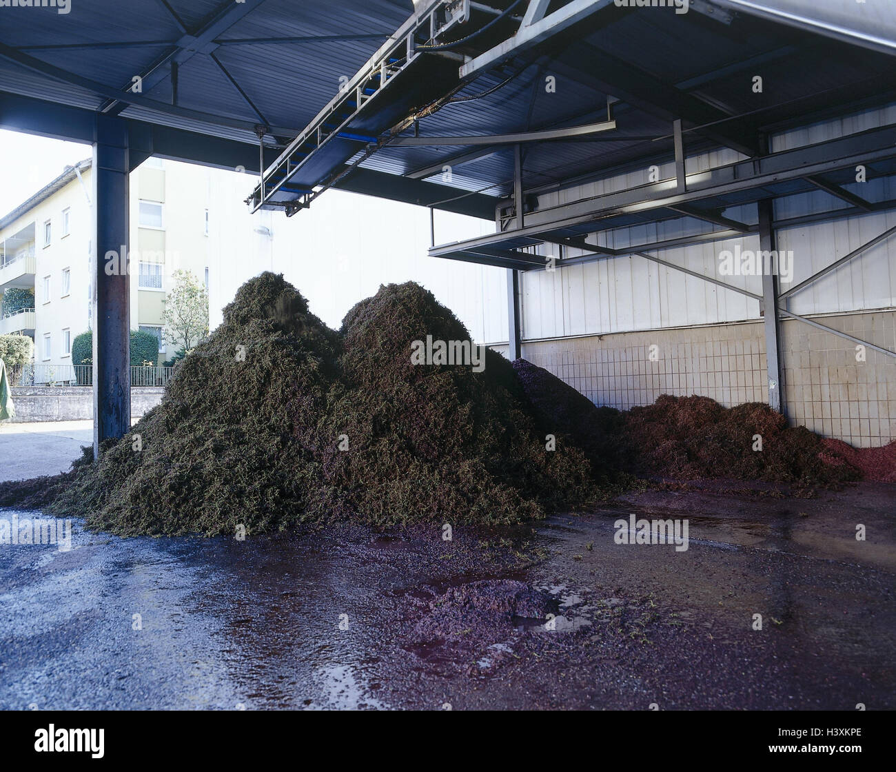 Germany, Baden-Wurttemberg, Kelterei, backlogs, Trester, viticulture ...