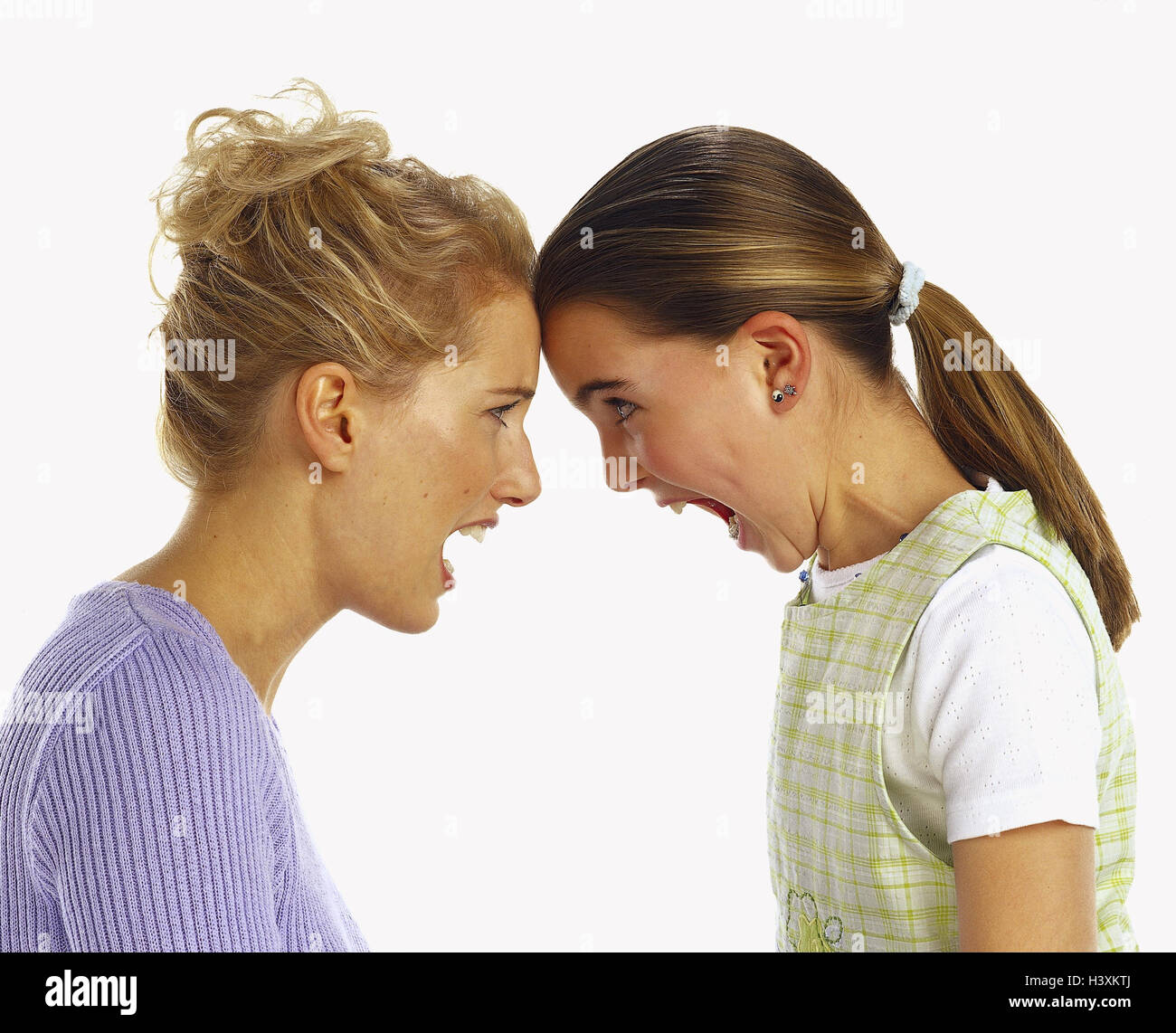 Nut, subsidiary, closely packed, conflict, fight, shout, Families ...