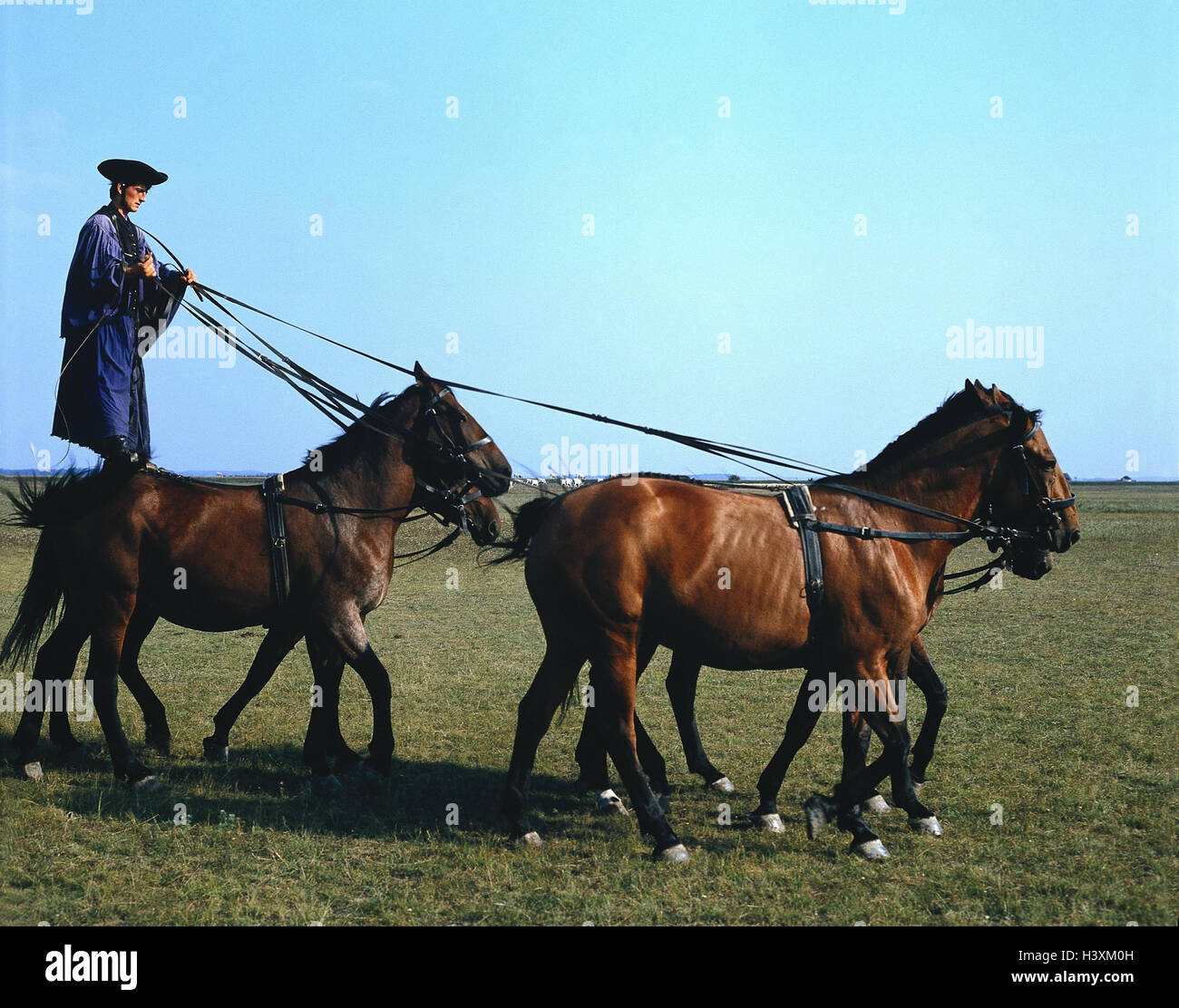 Hortobagy puszta hi-res stock photography and images - Alamy