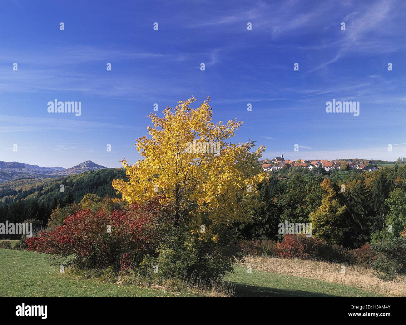 Germany, Swabian nightmare, Beuren, local view, wood, autumn, Europe ...